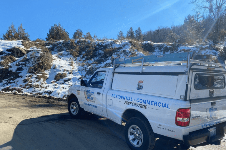 Home - Valley Wide Pest Control