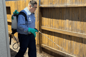 Pest Control Fresno - 24/7 Service - Free Inspection