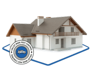 Pest Control Fresno - 24/7 Service - Free Inspection