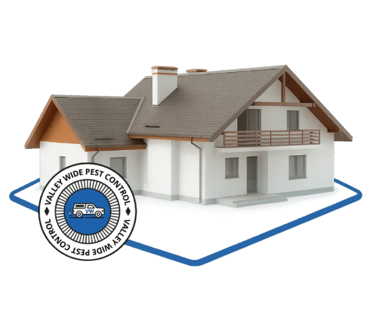 Pest Control Fresno - 24/7 Service - Free Inspection